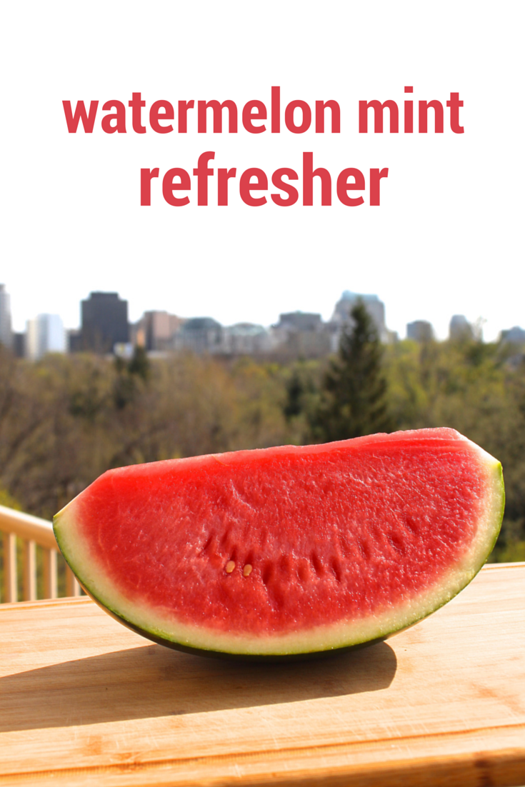 Watermelon Mint Refresher - Vie De La Vegan