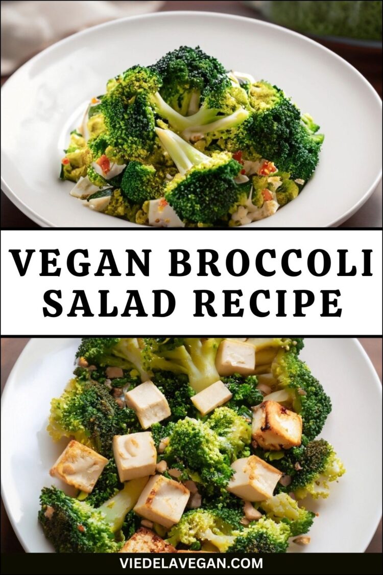 Vegan Broccoli Salad Recipe: Healthy Recipe for Plant-Based Diet