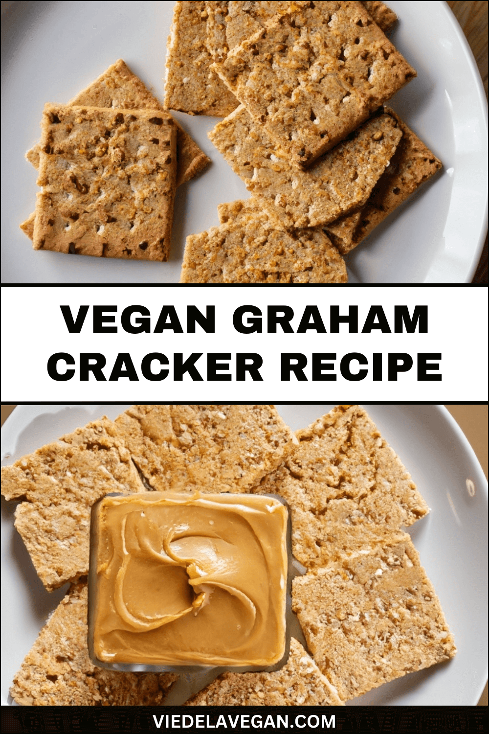 Vegan Graham Cracker Recipe | Perfect for Campfire
