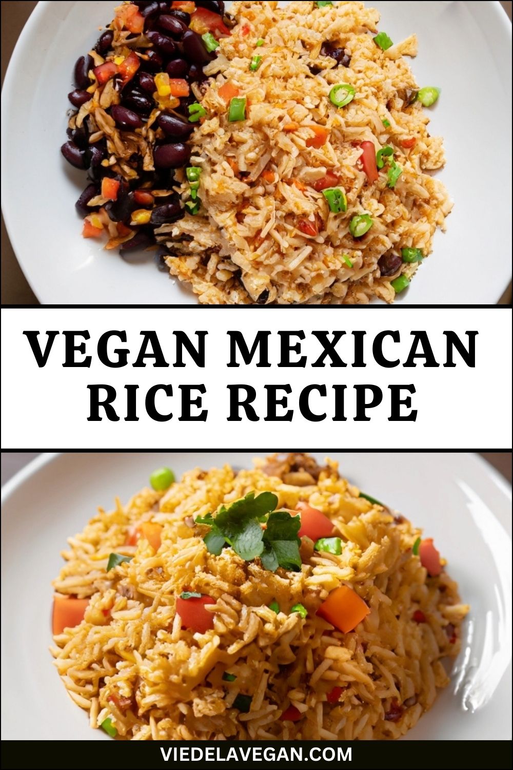 Vegan Mexican Rice Recipe: Easy & Delicious