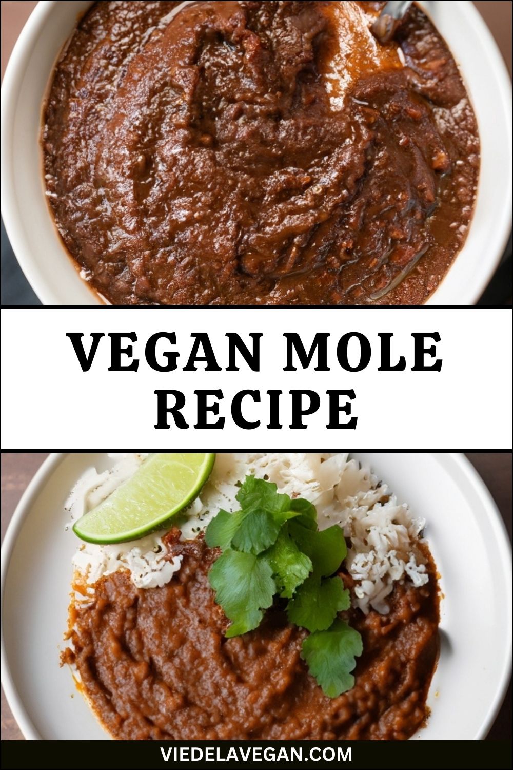 Easy Vegan Mole Recipe - Rich and Flavorful Mexican Sauce