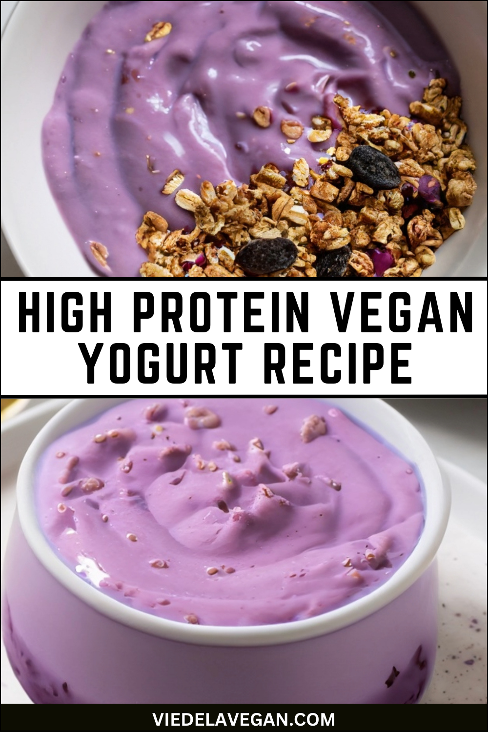 High Protein Vegan Yogurt Recipe - Support Your Digestive Health!