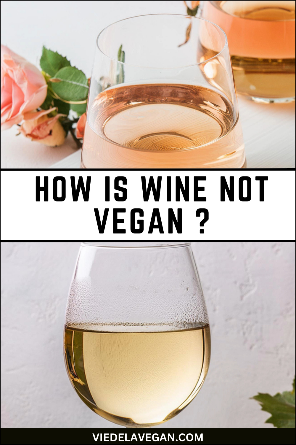 How is Wine Not Vegan? Animal Ingredients in Winemaking
