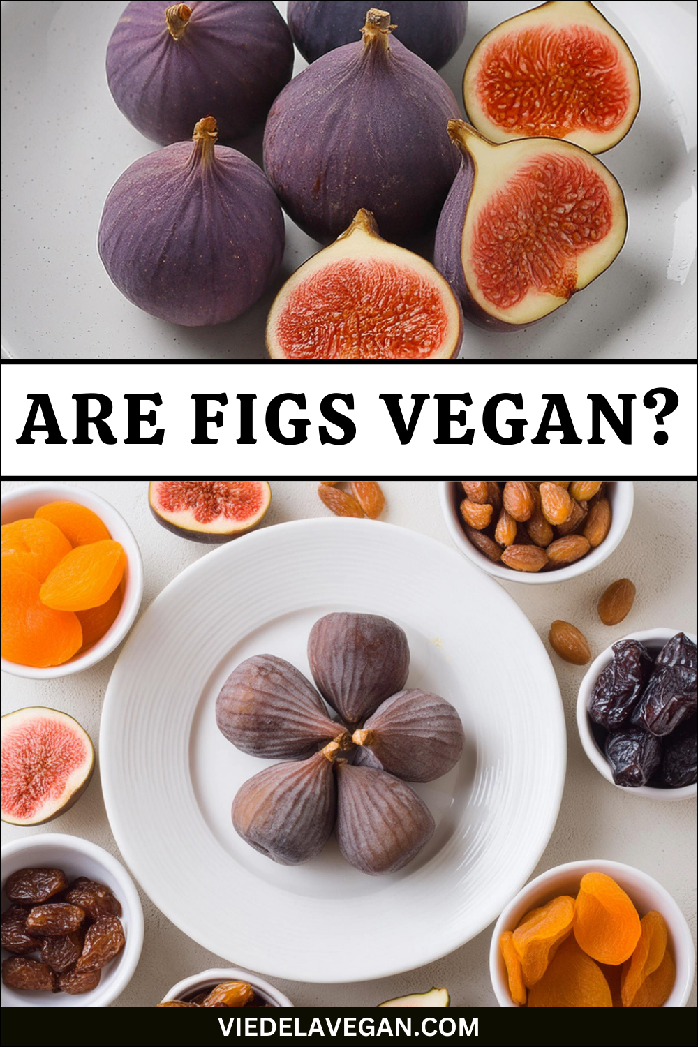 Are Figs Vegan? Learn the Real Story