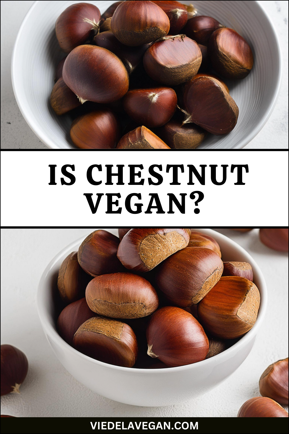 Is Chestnut Vegan? Unveiling the Facts